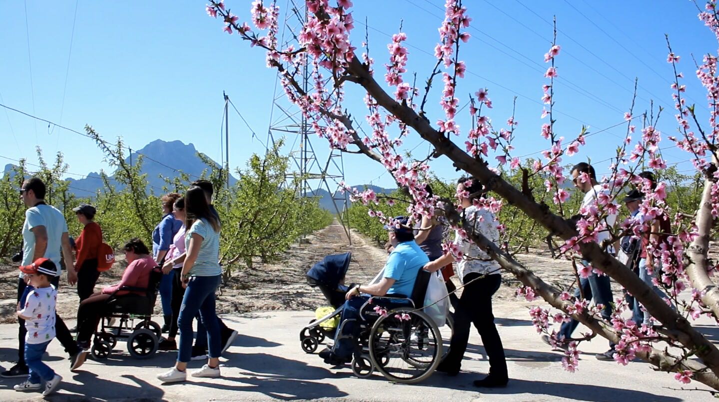 Agromarketing pone en marcha la iniciativa “Floración Accesible ...